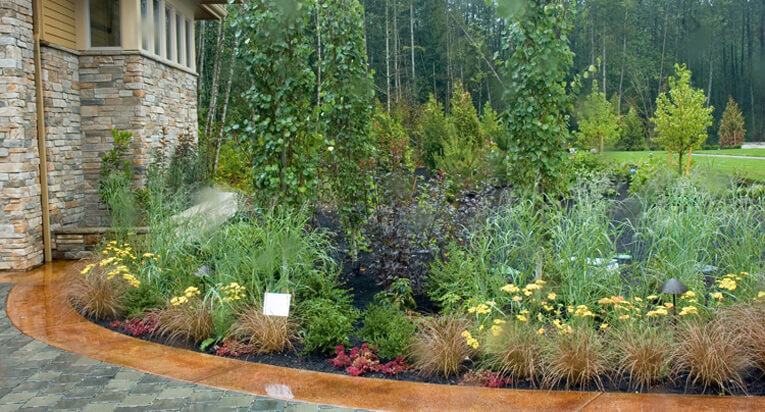 Rain Garden • In Harmony Sustainable Landscapes