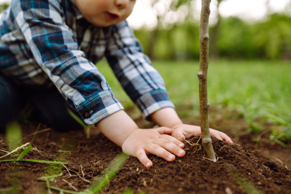 Plant a tree for Earth Day • In Harmony Sustainable Landscapes